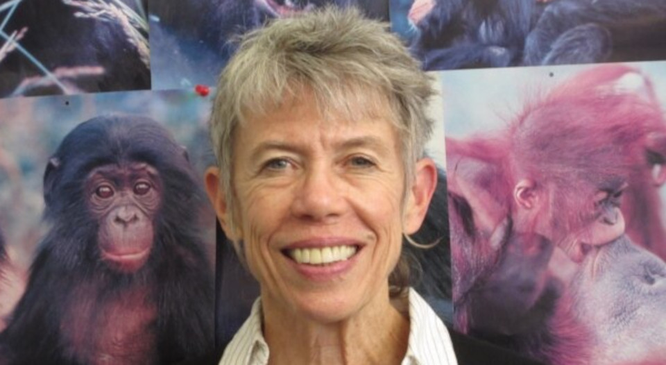 Longevity Traced to Grandmothers