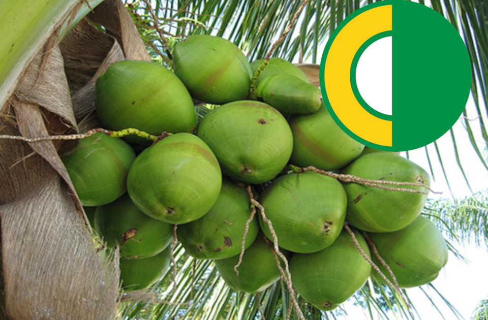 Philippine Coconut Authority was Established June 30, 1973